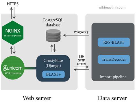 Nginx L G Nginx Ho T Ng Nh Th N O Wiki M Y T Nh