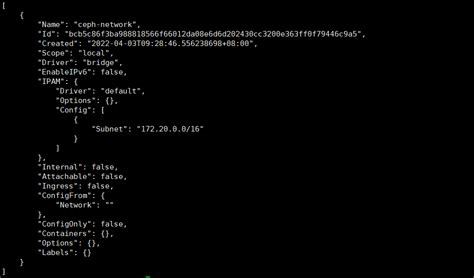 docker搭建单机ceph集群 aganippe 博客园