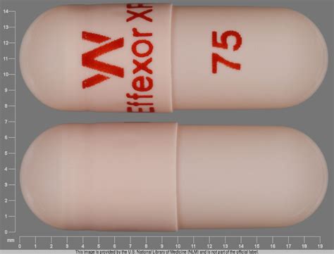 Effexor Xr Side Effects Interactions Uses Dosage Warnings