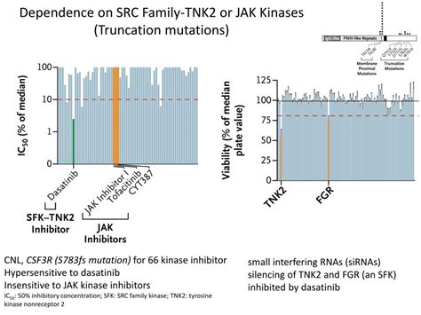 Ppt Oncogenic Csf3r Mutations In Chronic Neutrophilic Leukemia And