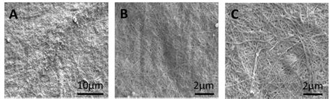 Sem Pictures Of The Membranes Surface A Unmodified Bc B Bc
