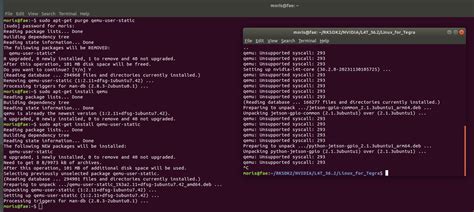 L T Apply Binaries Sh Error Jetson AGX Orin NVIDIA Developer Forums