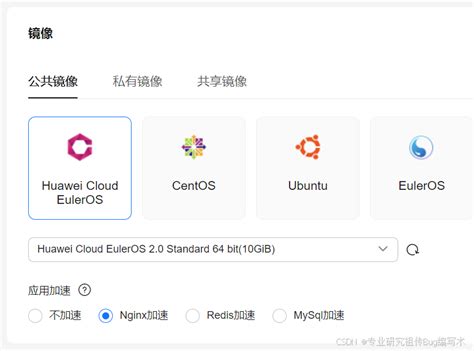 828华为云征文｜华为云弹性云服务器flexusx实例下的nginx性能测试 Csdn博客