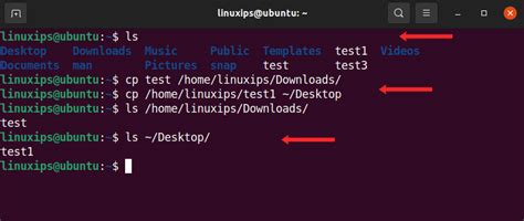 Basic Linux Commands For Beginners Linuxips