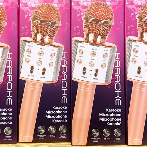 Karaoke Mic With Built In Speaker At Louise Mcmakin Blog