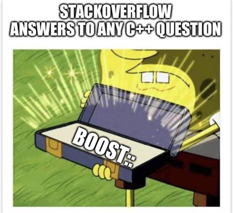 Signed A C Developer Who Cant Use Boost In Their Project Rprogrammerhumor