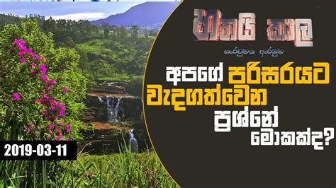 Hathai Kaala අපගේ පරිසරයට වැදගත්වෙන ප්‍රශ්නේ මොකක්ද 11 03 2019