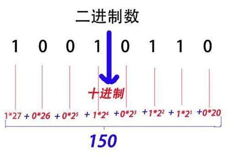 十进制与二进制如何互转换？编程语言教会你进制编程 知识库 新睿云