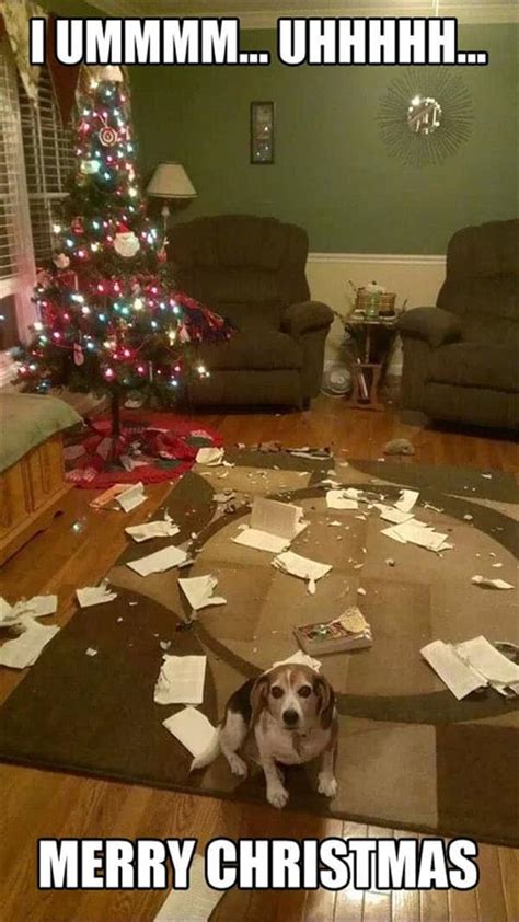 100 Funniest Merry Christmas Memes