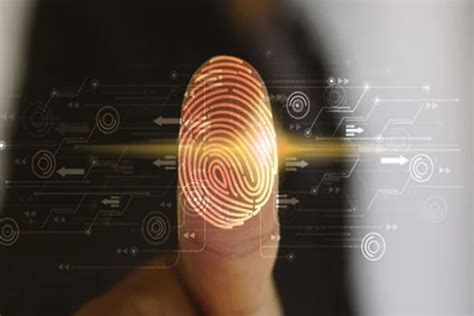 ¿qué Es La Identidad Digital Y Por Qué Es Importante En México Y