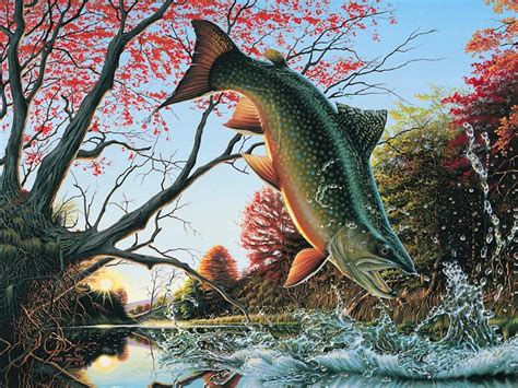 Brook Trout Jumping