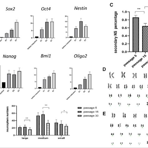 Quantitative Real Time Polymerase Chain Reaction Pcr Analysis And Download Scientific Diagram