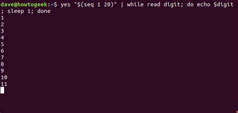 How To Use The Yes Command On Linux