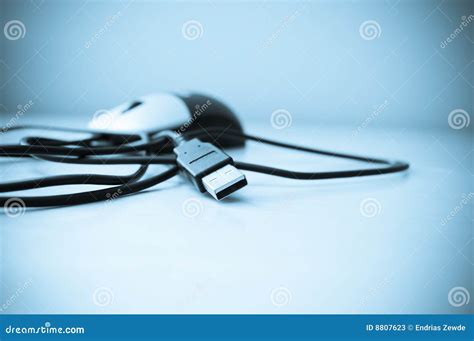 Mouse Cord Stock Image Image Of Connect Wire Plug Computer