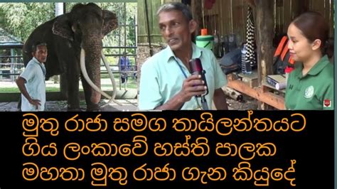 මුතු රාජා ගැන කියු කතාව พลายศักดิ์สุรินทร์ Youtube
