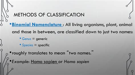 Classification Eq How Have New Discoveries Helped Us To Redefine The Relationships Among