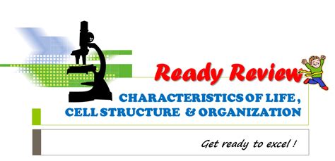 Diffusion And Osmosis Experiments Brilliant Biology Student