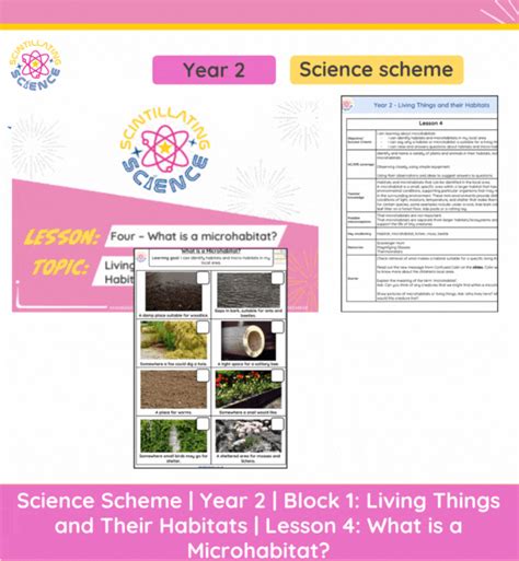 Year 2 Living Things And Habitats Unit Ks1 Science Scheme