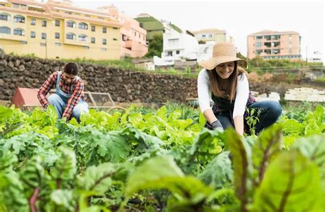 Usa Afbf Announces 2023 Farm Bill Policy Priorities