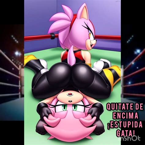 Amy Rose Vs Blaze The Cat Sexfight Eporner