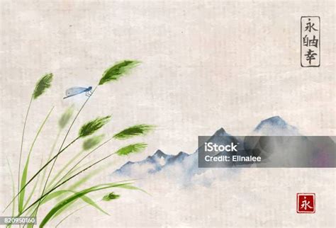 멀리 산와 Dragofly 이동 화 U죄 전통적인 동양 잉크 그림 미 잔디의 잎에 풍경 상형 문자포함 영원 일본에 대한 스톡
