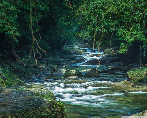 Caver [1280x1024] R Wallpaper