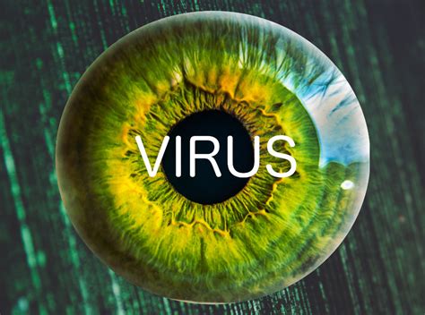 Anti Virus Engine OPNsense Documentation