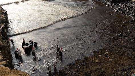 Green Washing Uk Bans Repsol Shell And Petronas Fossil Fuel Ads For