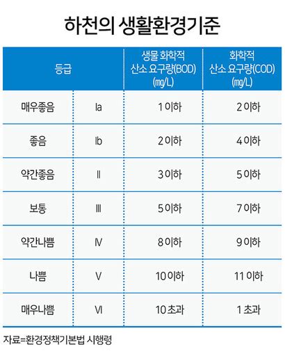 비즈한국