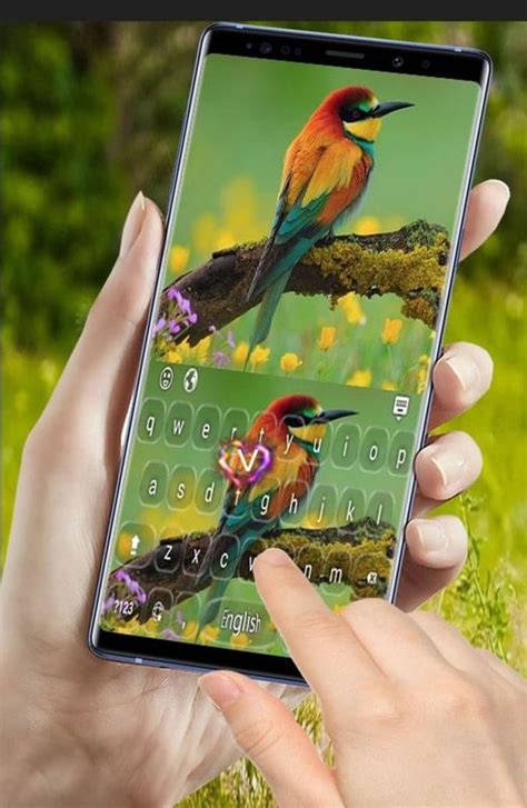 Colorful Bird Keyboard For Android Download
