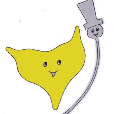Principle Of Transanal Irrigation Tai And Antegrade Colonic Enema
