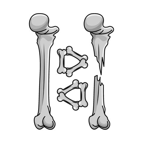 Bone Human Halloween Illustration 34523393 Vector Art At Vecteezy