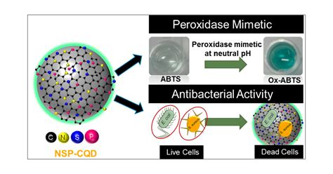 Agriculture Machinery Equipment Technology In India Shop It