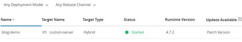 Mule Standalone Runtime Setup And Registering With Anypoint Platform Tgh
