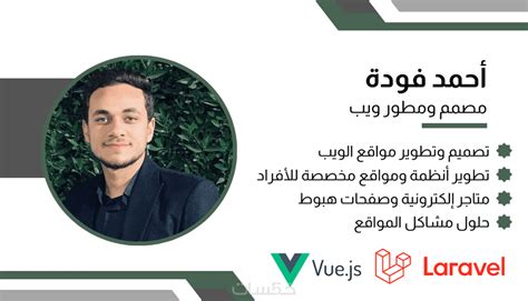 برمجة وتطوير مواقع باستخدام Vuejs و Laravel خمسات