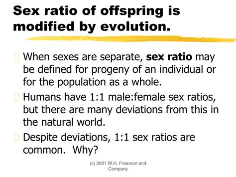 Ppt Chapter 11 Sex And Evolution Powerpoint Presentation Free