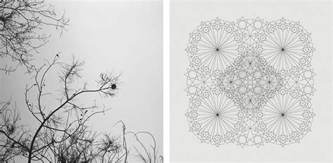 Biomicry Project Abstract Conceptual Photography Human Photography