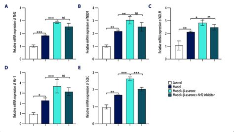 Rt Qpcr Assay For Detection Of The Mrna Expression Of Nrf2 Are