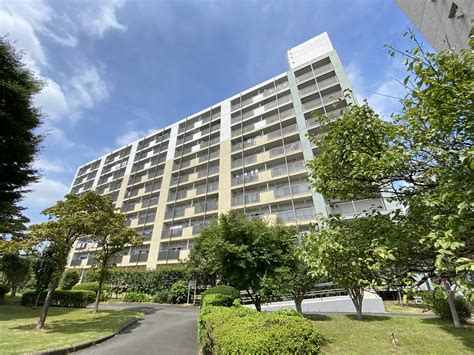 【物件情報】市ドリームハイツ4号棟の写真を撮ってきました！