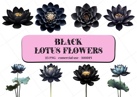 25 Black Lotus Flowers Clipart Instant Download Commercial Use Etsy