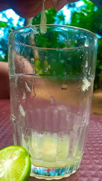 බඩේ කැක්කුමට හරිම බෙහෙත Very Good For Stomach Ache 🙂👌 Viral Trending Shorts Youtube