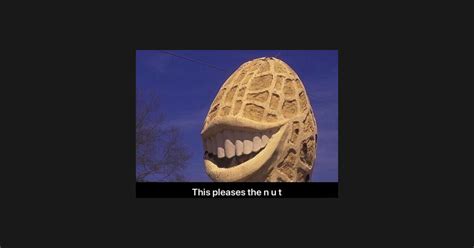 This Pleases The Nut Memes T Shirt Teepublic