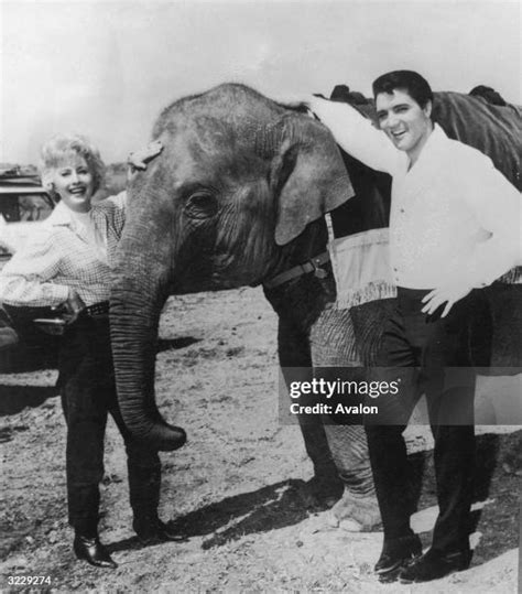 2454 Barbara Stanwyck Photos And High Res Pictures Getty Images