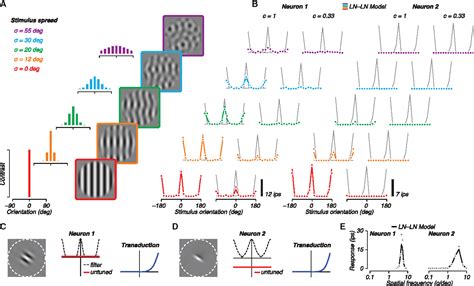 figure 2 from origin and function of tuning diversity in macaque visual