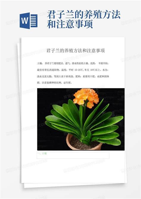 君子兰的养殖方法和注意事项word模板下载编号qaydxaar熊猫办公