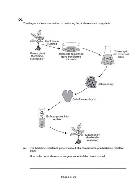 Inheritance Exam Q And Ms Pdf Genetics Meiosis