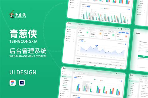 青葱侠后台管理系统sjnx小飞 站酷zcool