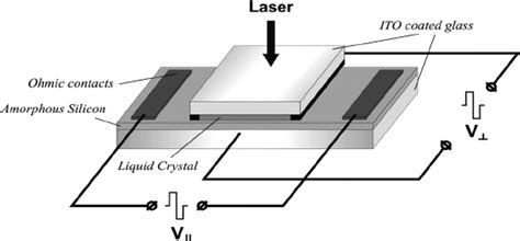 The View Of Investigated Nlc Cell Download Scientific Diagram