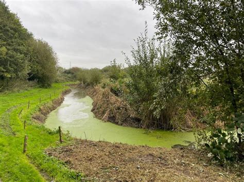 Jpr Environmental On Linkedin Pond Naturalcapital Reedbed Jpr Habitats Biodiversity…