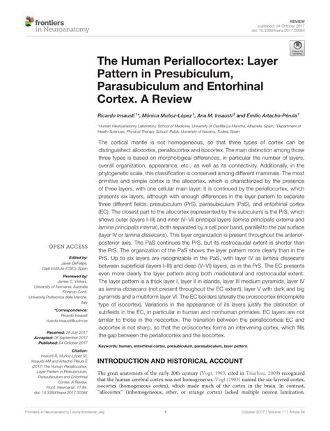 Pdf The Human Periallocortex Layer Pattern In Presubiculum